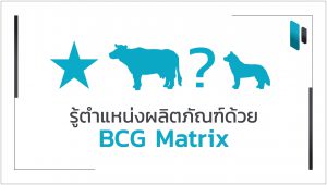 รู้ตำแหน่งผลิตภัณฑ์ด้วย BCG Matrix – Popticles.com